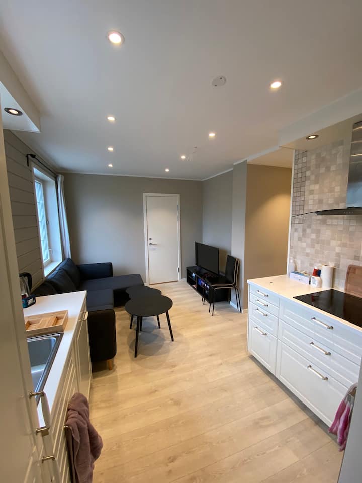 Pent Rom Med Sentral Beliggenhet - Trondheim
