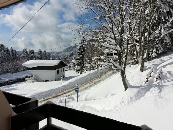 La Bresse : Charmant Duplex Près Des Pistes - La Bresse