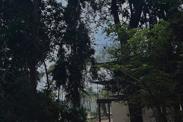 Ammani Golden Nest - Wayanad