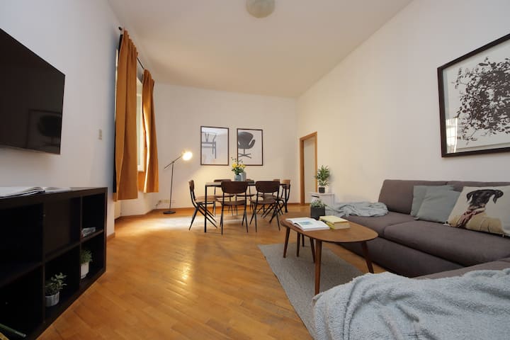 Giant Borghese Apartment - Rome