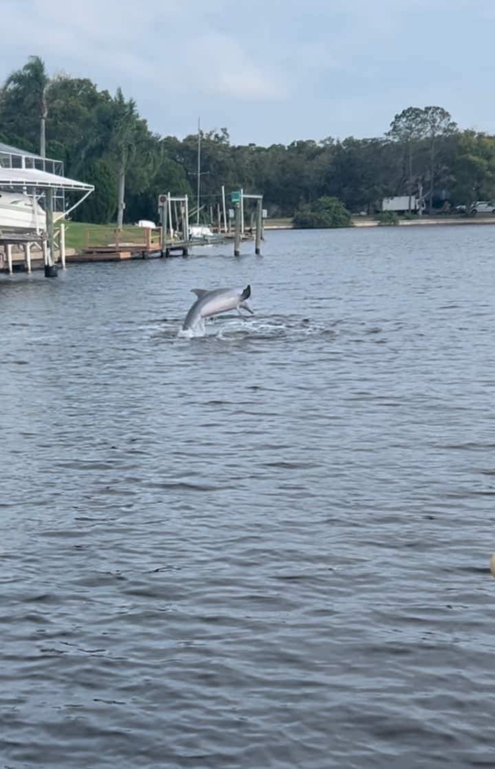 Sweet Water Way To Tarpon/pool/spa/kayaks - Lake Tarpon, FL