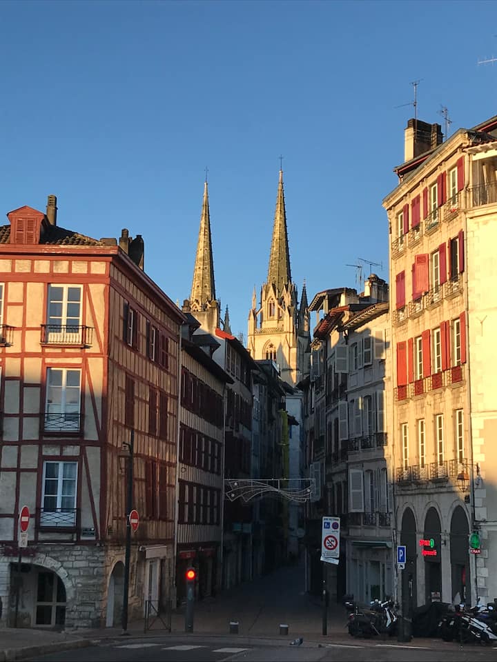 T2 De Charme En Plein Centre De Bayonne - Bayonne