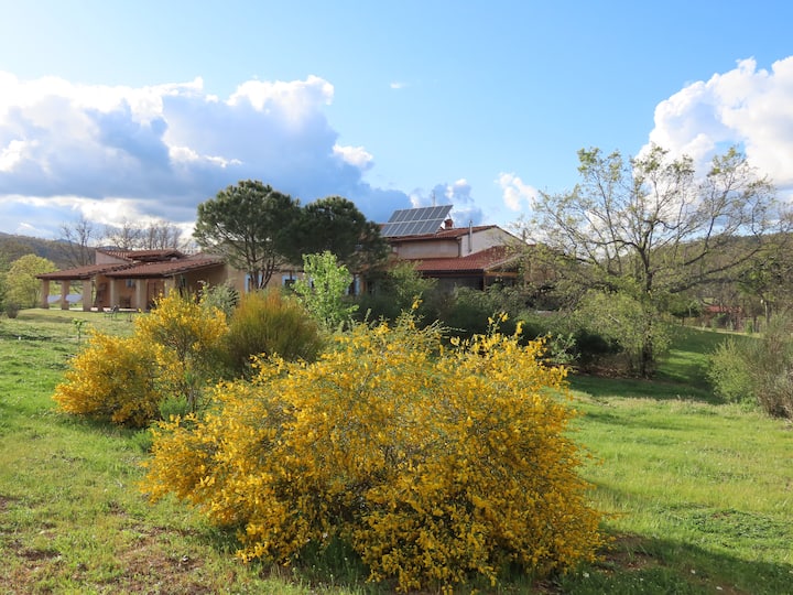 Las Lucías: Alojamiento Completo - Spanien