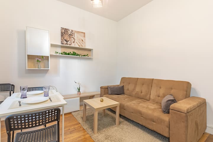 Bel Appartement, Accès Facile, Bien Desservi - Cachan