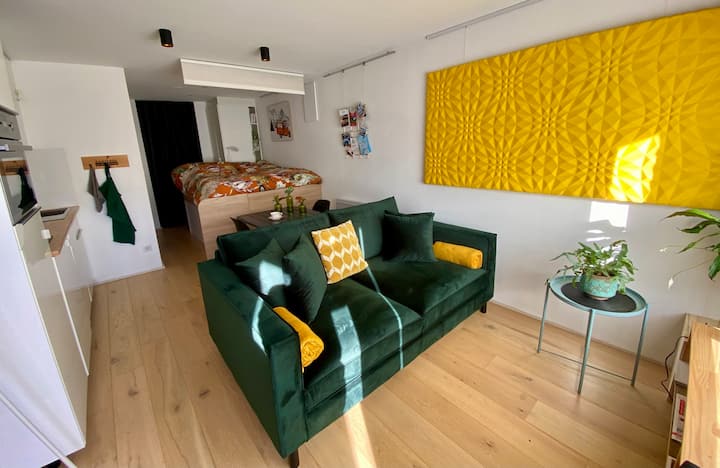 Magnifique Studio Spacieux Et Lumineux - Samoëns