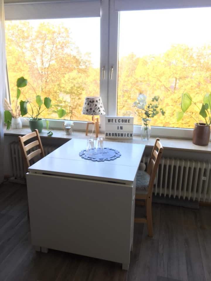 Gemütliche Einzimmerwohnung - Braunschweig