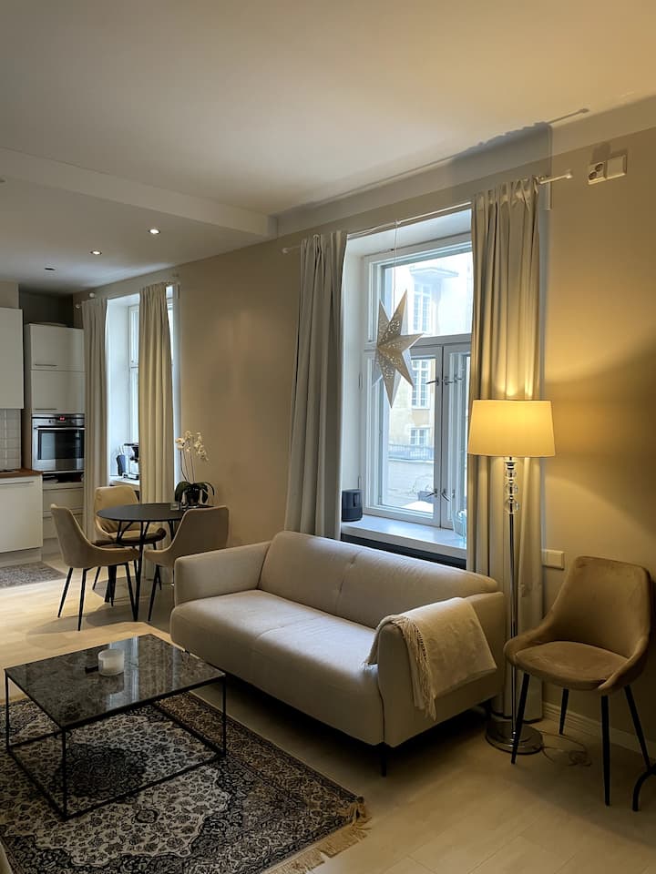 Downtown Elegance In Helsinki - Helsinki