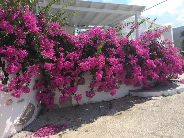 ΡΑΝΙΑ-ΠΑΝΟΣ - Paros