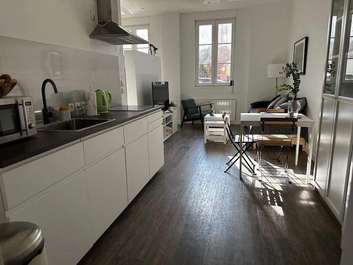 Joli Studio Proche Gratte-ciel - Villeurbanne