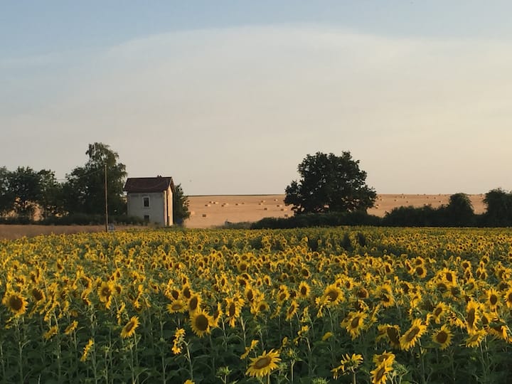 La Petite Gare, Maison éCologique - Marne