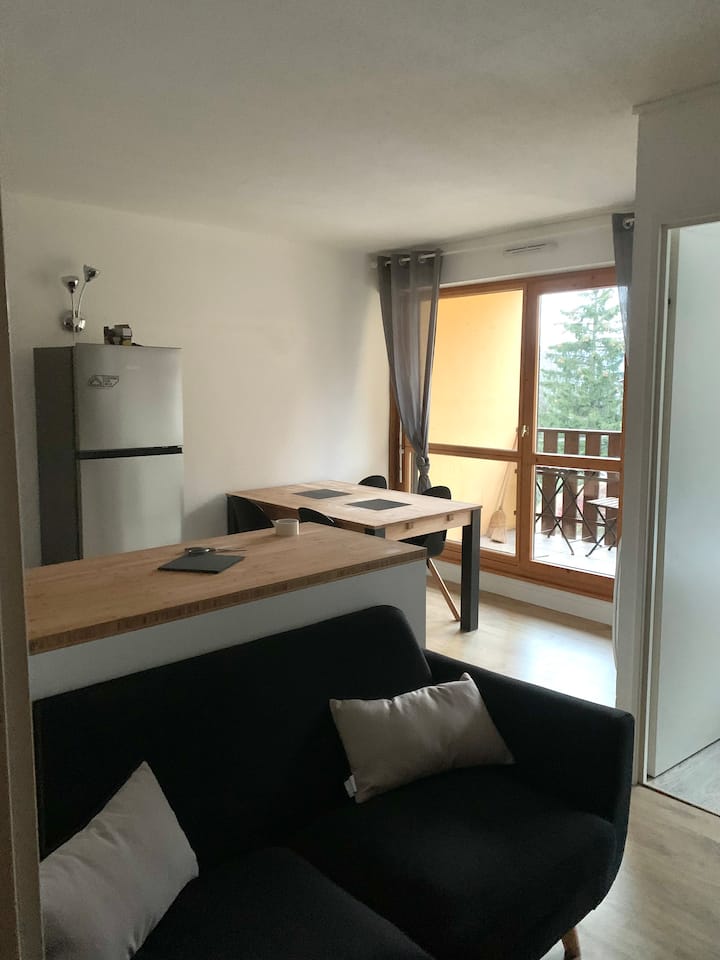 Appartement - Au Pied Des Montagnes - Mont-Saxonnex