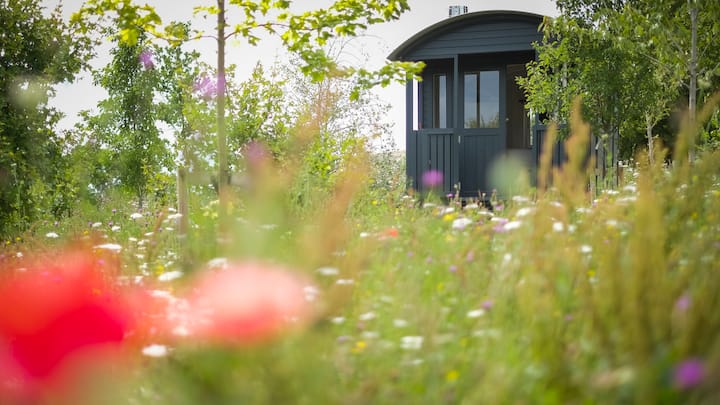 The Paddock Shepherd's Hut - Gloucestershire