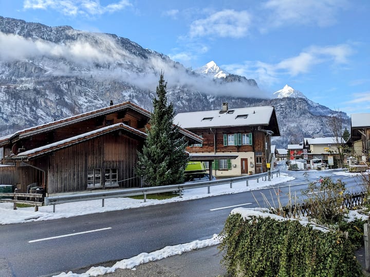 Alpine Chalet Retreat • Meiringen Views - Meiringen