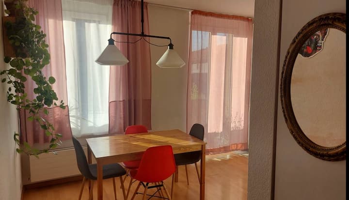 Appartement Entier 2.5 Pièces à Wiedikon - Zürich