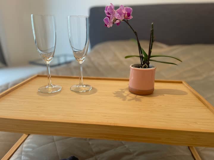 Apartment 4 Room, 2 Bath Parking - Praga