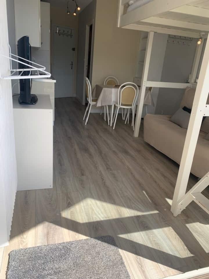 Joli Petit Studio Cosy De 19 M2 - Corrençon-en-Vercors