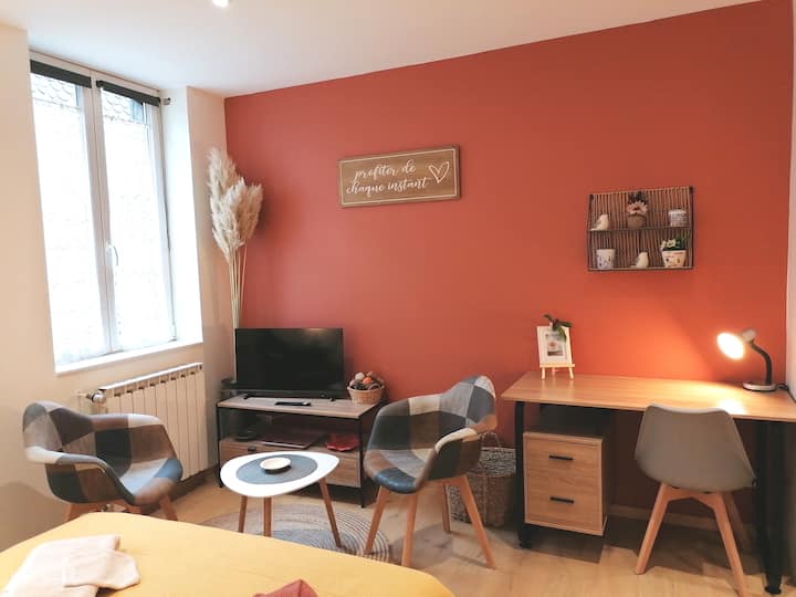 Studio Rénové 25 M2 Centre Historique - Rodez