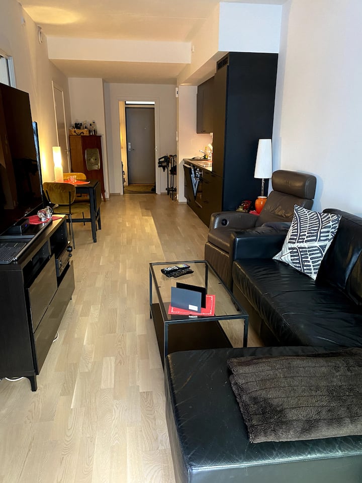 Leie I Ungkarsleillighet, Valentinlyst - Trondheim