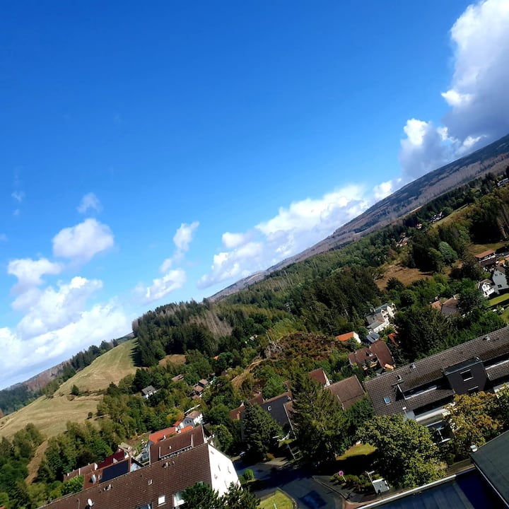Crisand 4 Brockenblick - Altenau