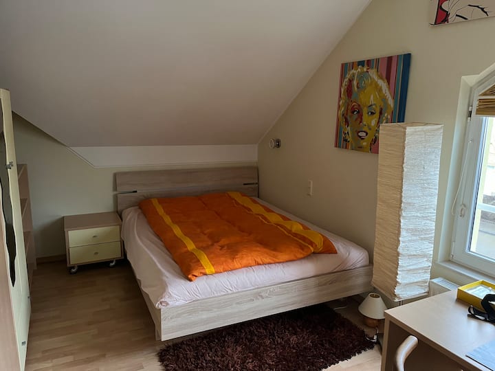 Chambre D'hôte à Sanem Dans 1 Maison Unifamiliale. - Esch-sur-Alzette