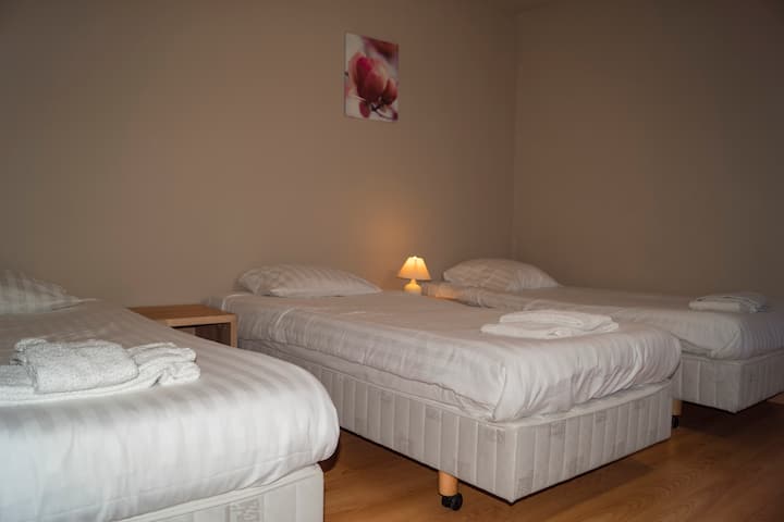 One Bedroom Apartment Large - Louvain