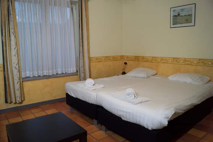 Budget Studio Twin - Lovaina