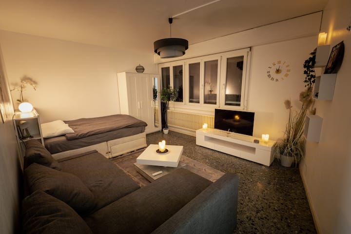 Central And Cozy Haven In Geneva - Geneva