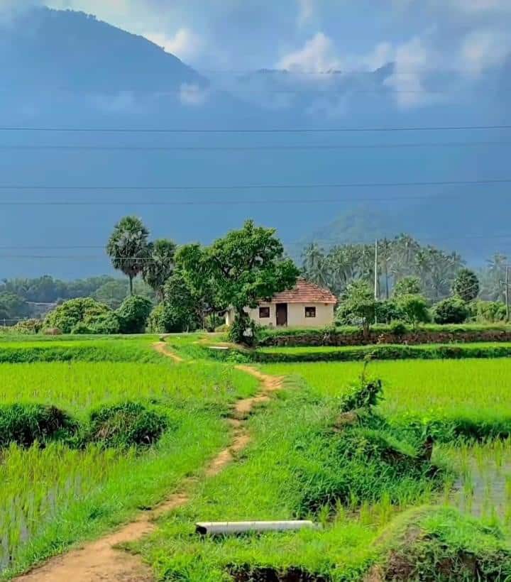 Payyalore - Kollengode - Kerala