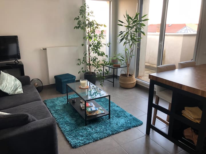 Appartement Cosy Avec Terrasse - Lyon