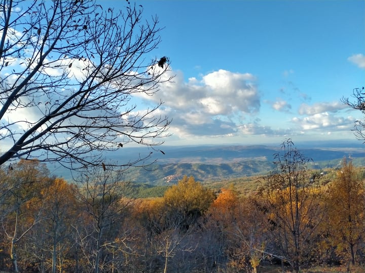 "Luce D'amiata"mountain Art Farm - Monte Amiata