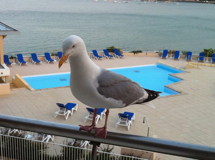 Appartement - Crozon