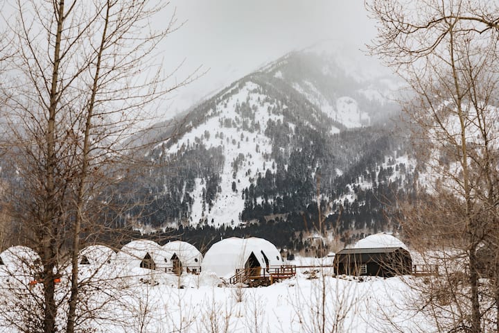 Family Suite · Geodome W/ Teton Views, Sauna & Fre - Jackson, WY