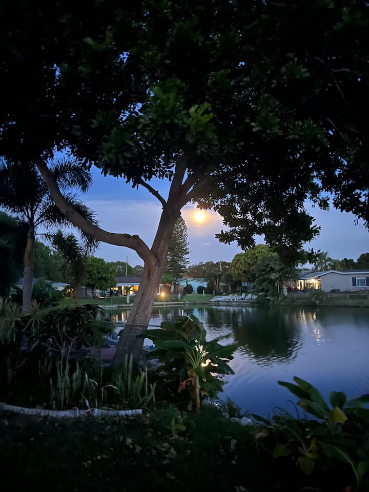 Tranquil Lakefront Home - Madeira Beach, FL