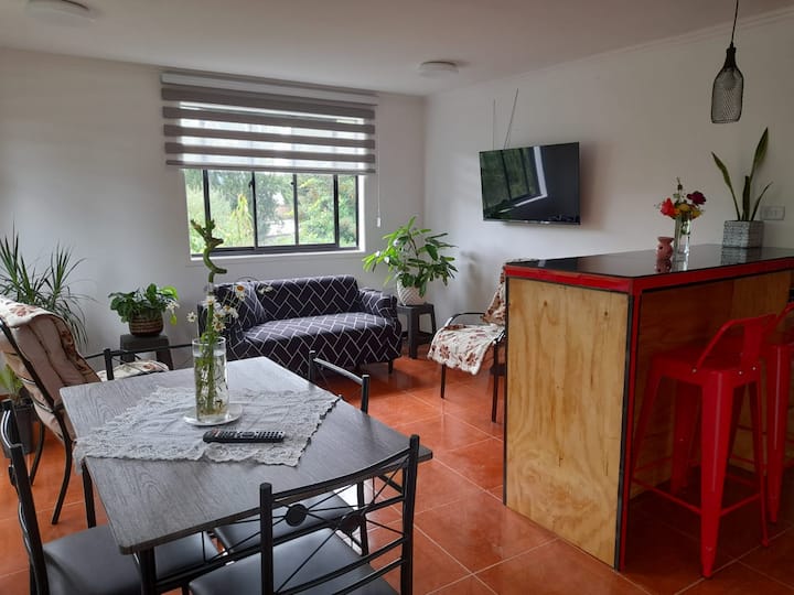 Apartamentos Vera Ribbeck 2 - Valdivia