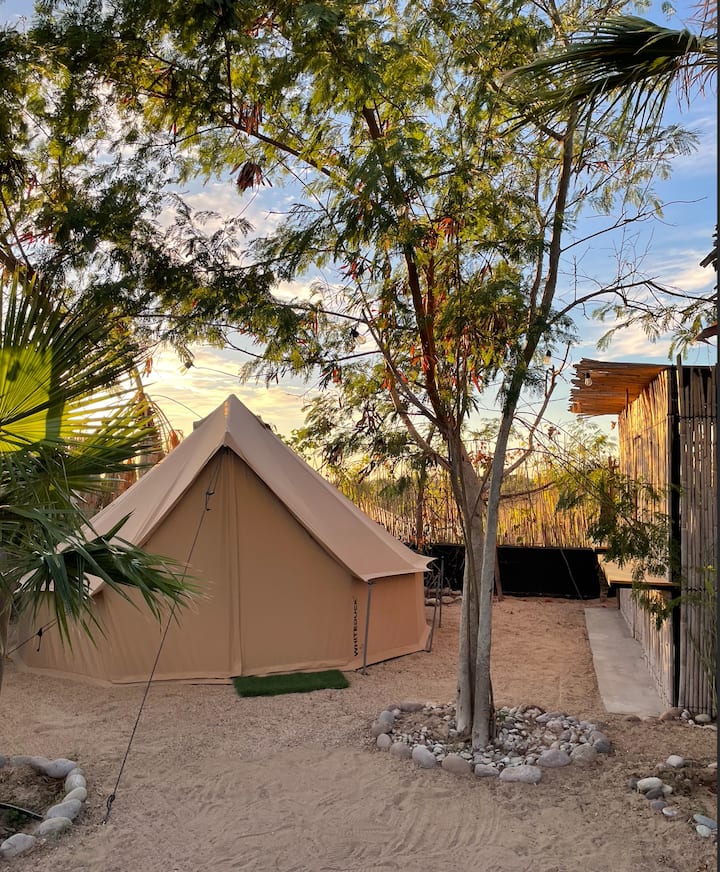 Glamping Salino Sky - Baja California Sur