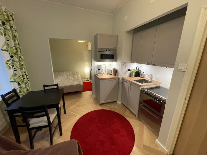 Cozy Helsinki Apartment With Easy Access - Helsinki