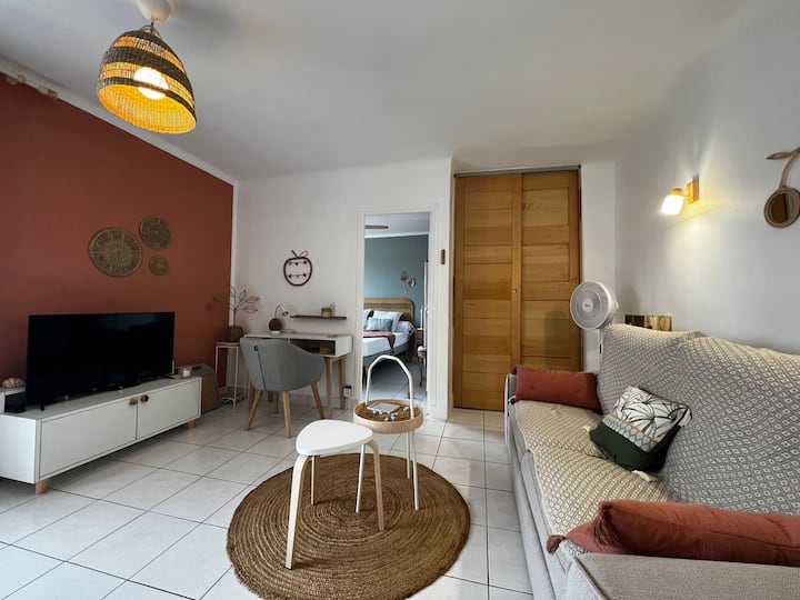 Charmant T2 Classé 3 éToiles, Commerces, Port, Mer - Golfe-Juan