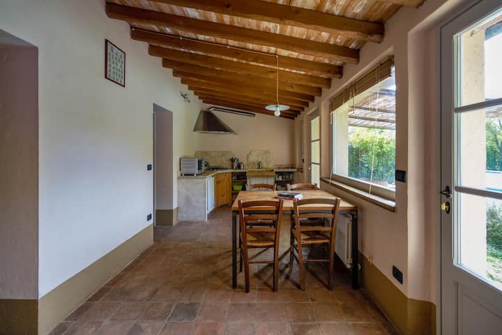 "Albicocco" Il Molinello - Rapolano Terme
