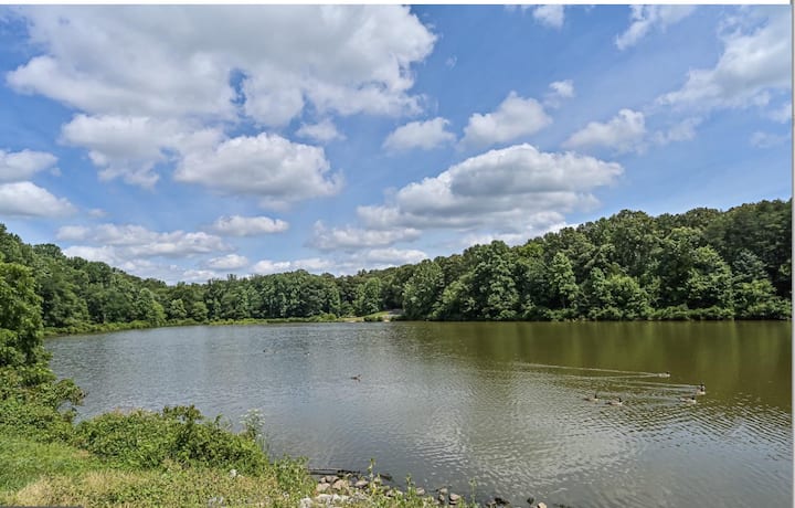 Cozy 2 Bedrooms, Kitchenet, Dining, Living, Lake! - Fairfax, VA