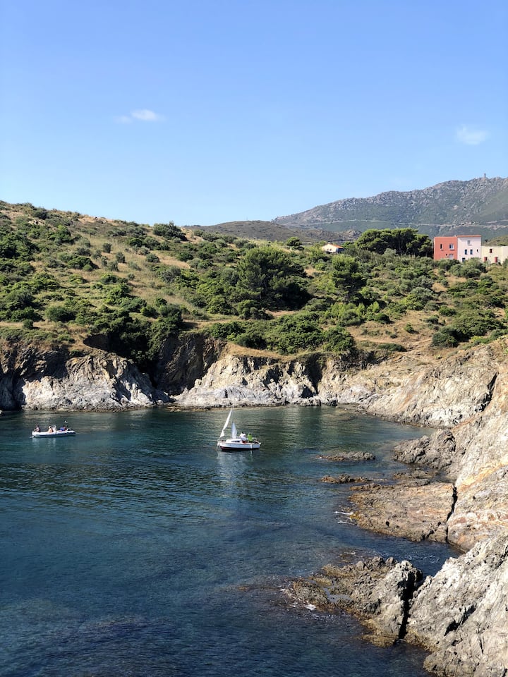Appt Bord De Mer Port Vendres - Collioure