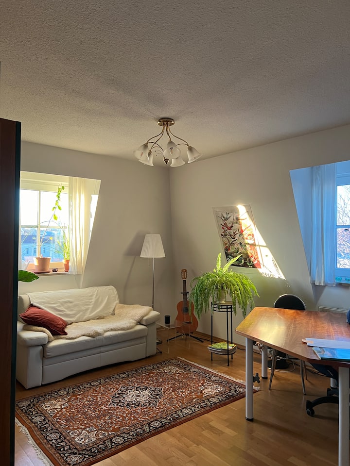 Cozy Apartment Dresden Neustadt - Dresde