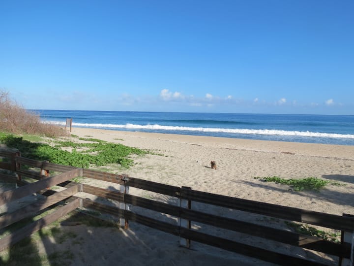 Villa "Hibiscus" Sur La Plage - La Réunion