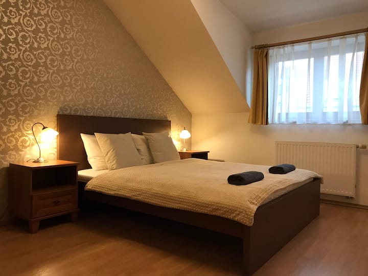 Private Room In The City Center! [Zd] - Prague