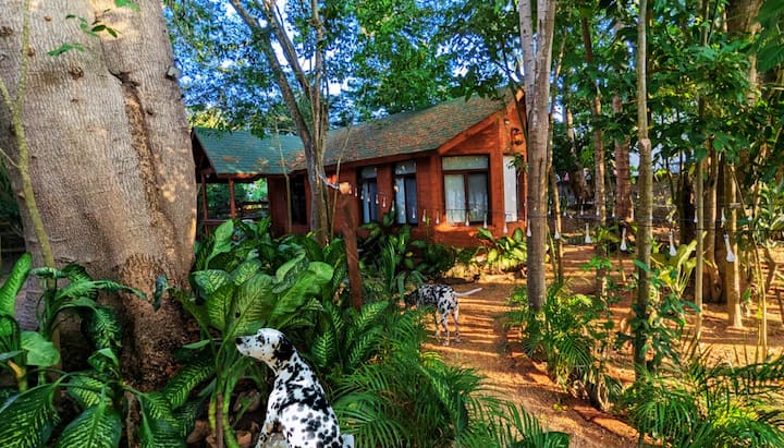 Free Pet-friendly Nice Cabin/wifi/ac/kitchen/grill - Ixtapa Zihuatanejo