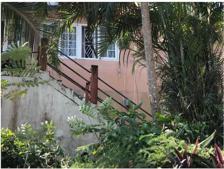 Real Jamaica (Yardie) - Montego Bay