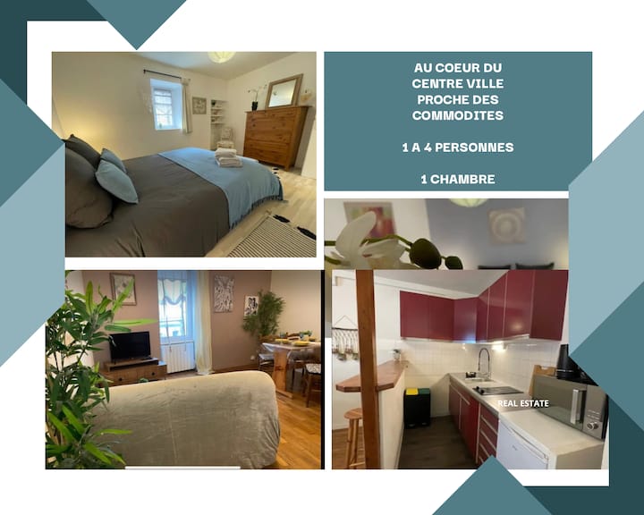 Appartement Cosy 1 Chambre Hyper Centre - Châteauroux