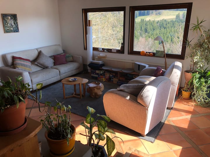 Villa Chaleureuse - Canton de Vaud