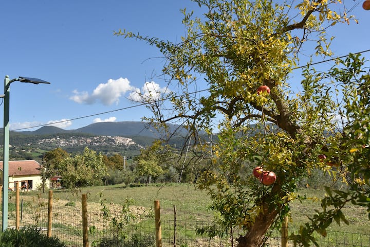 Il Casale Delle Rose - Narni