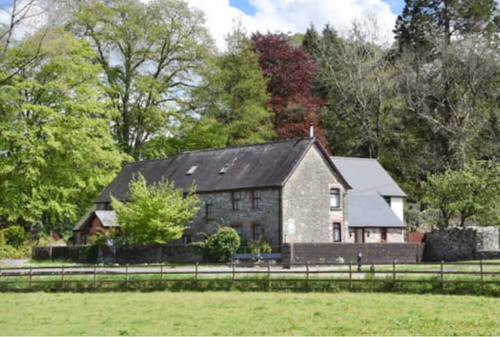 Double Room. - Llandeilo