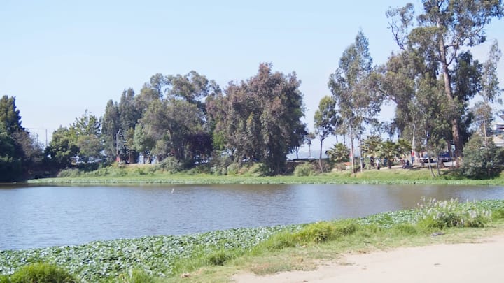 Departamento Al Costado De La Quinta Vergara - Viña del Mar